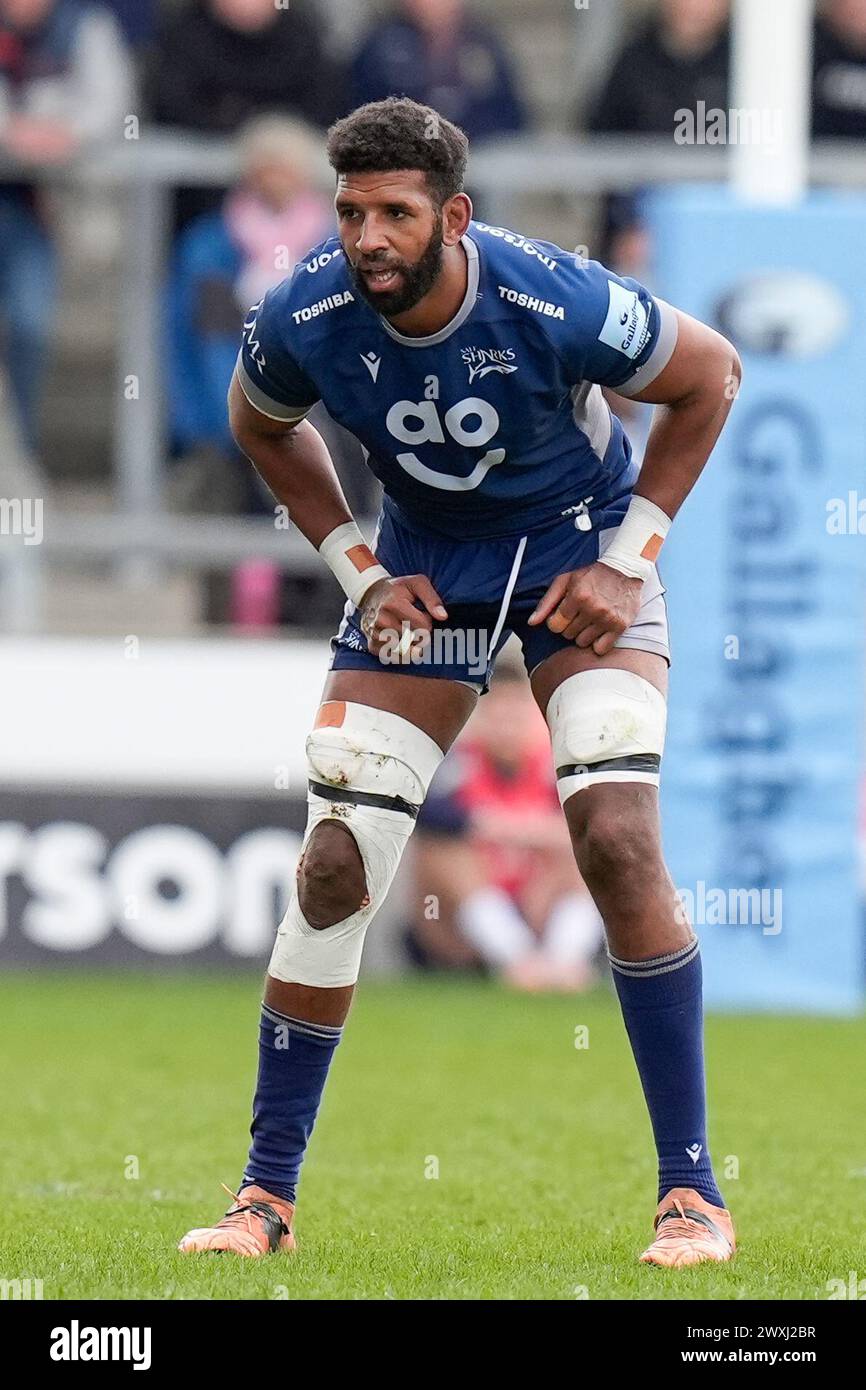 Hyron hi-res stock photography and images - Alamy