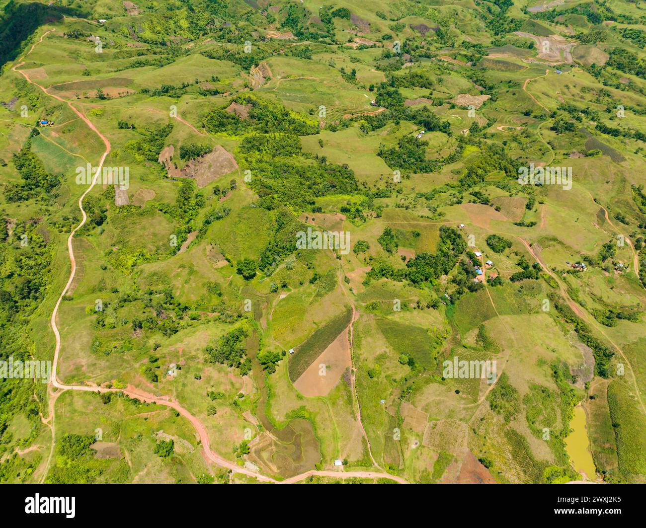 Top view of agricultural landscape with farmland in the countryside ...