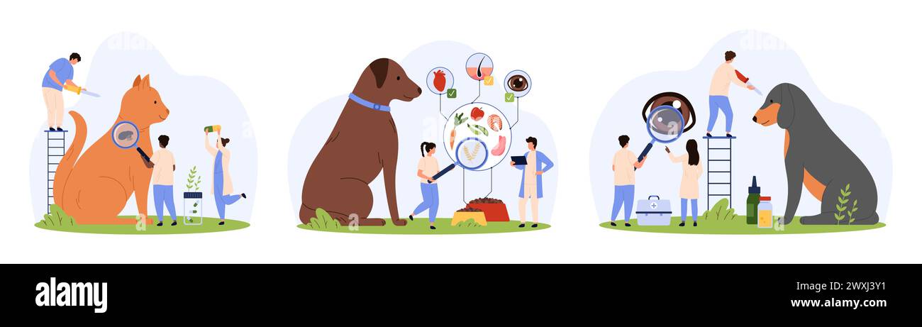 Veterinary treatment, care for pets health set. Tiny people research ...