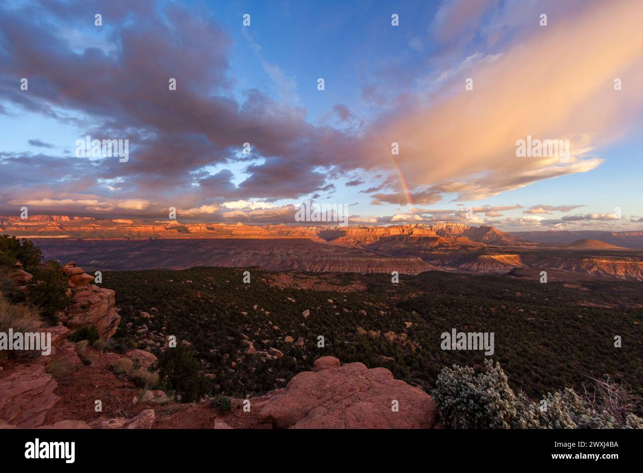 Zion National Park's dramatic mountains in afternoon sunshine with ...