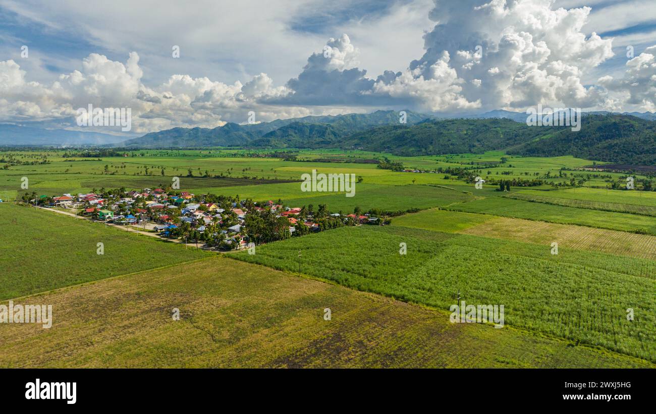 Farmland with sugar cane and rice fields. Negros, Philippines Stock ...