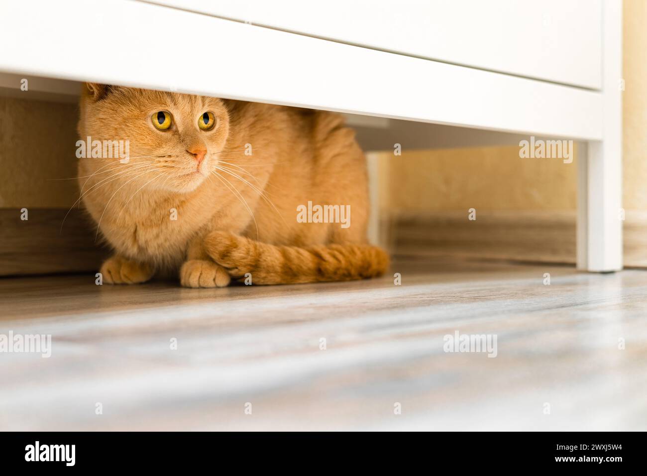 Deviant behavior hi-res stock photography and images - Alamy