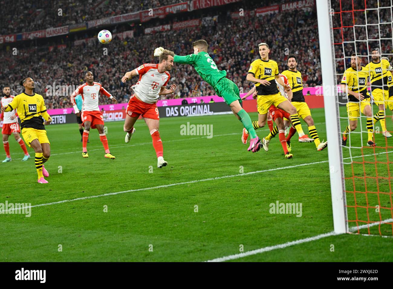 MUNICH, Germany. , . 9 Harry KANE in action and 33 Alexander MEYER, BvB ...