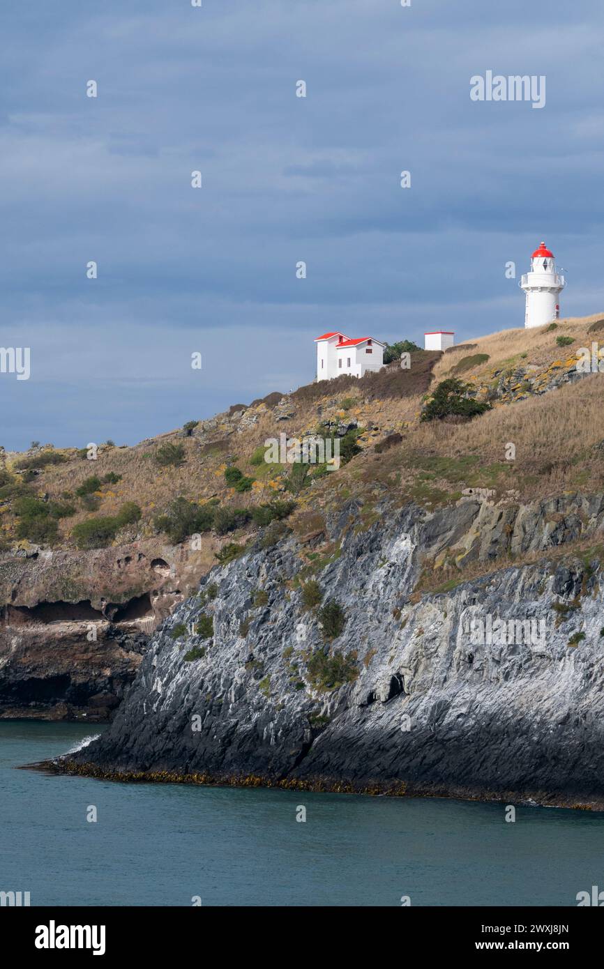 New Zealand, South Island, Dunedin, Otago Peninsula. Taiaroa Head, home ...