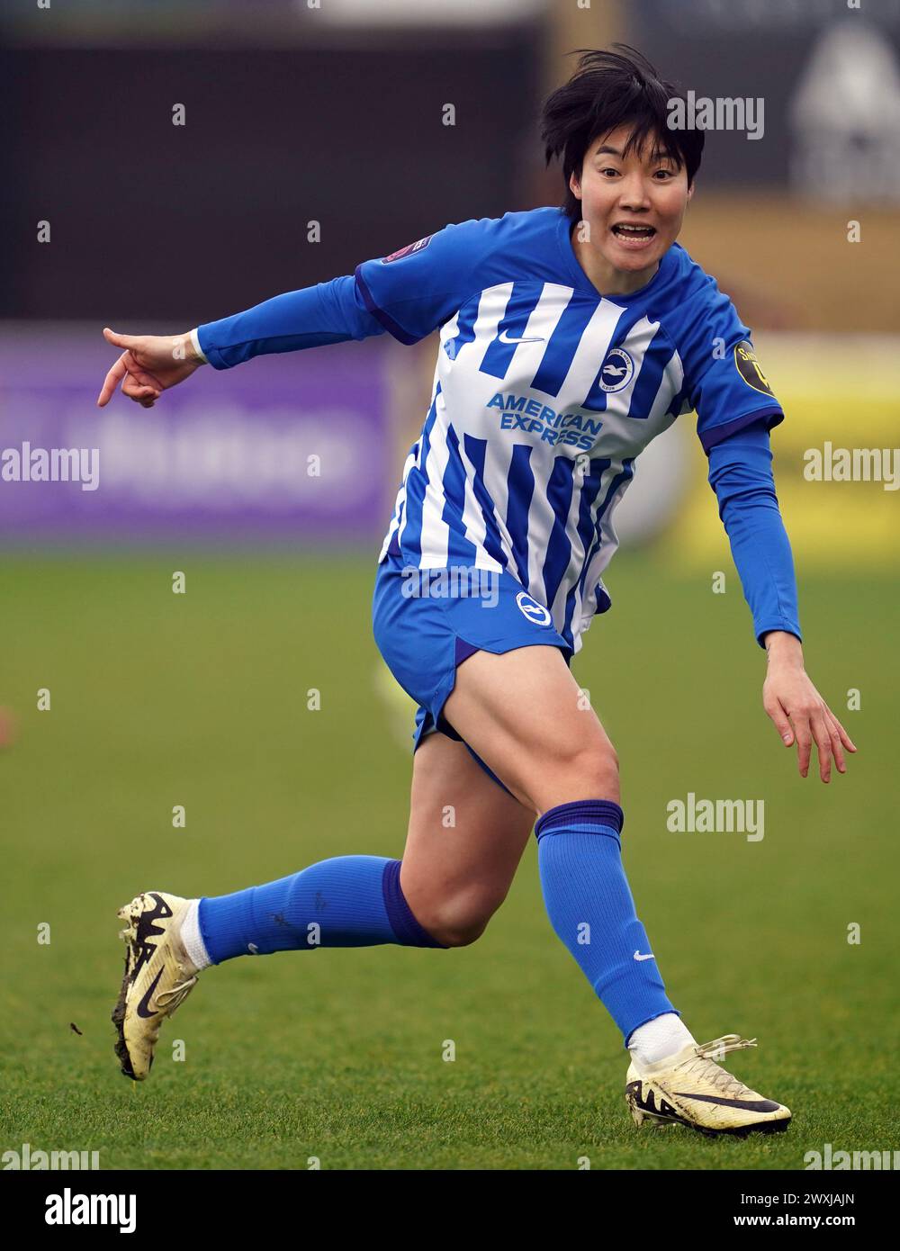 Hove albions lee geum min hi-res stock photography and images - Alamy