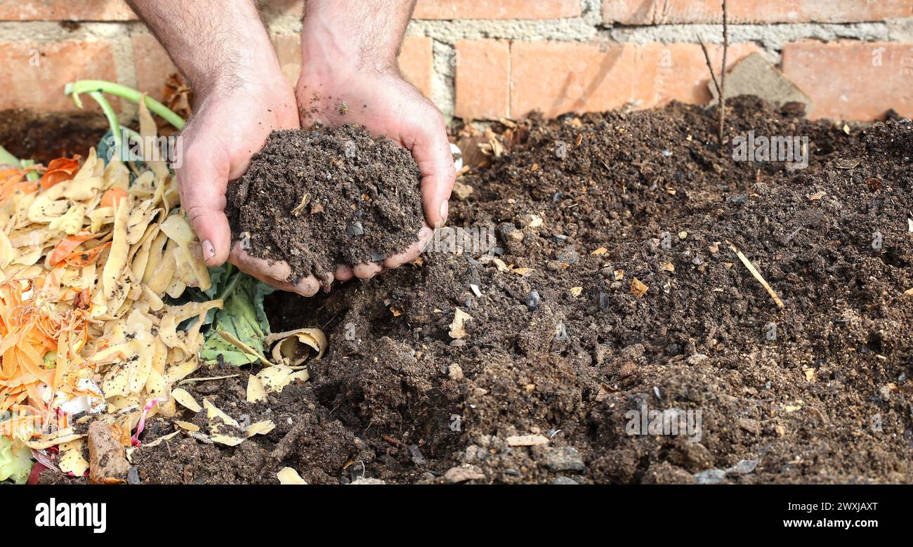 Soil compost hands hi-res stock photography and images - Alamy
