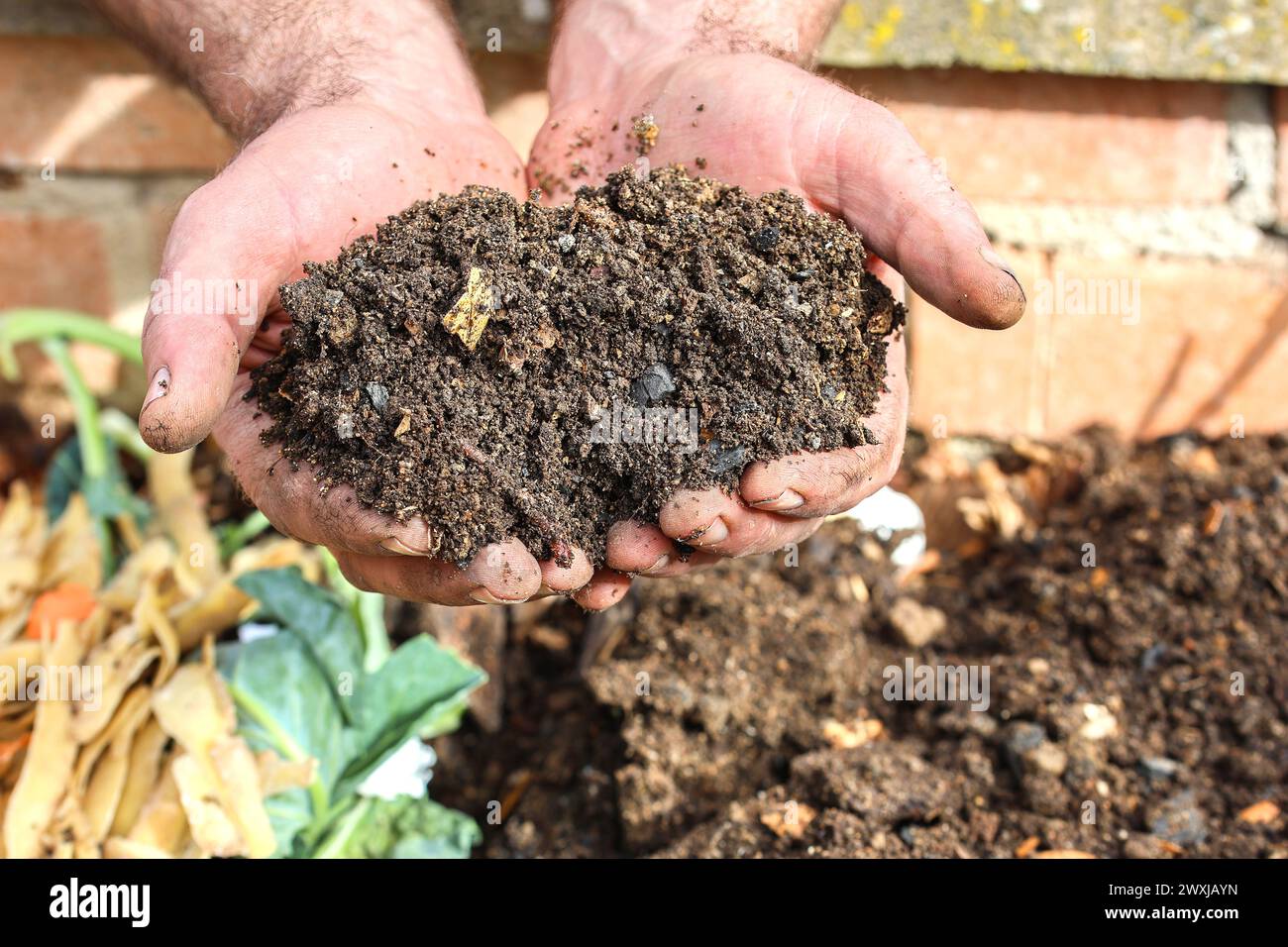 Freshly sifted compost soil to fertilize the garden Stock Photo - Alamy