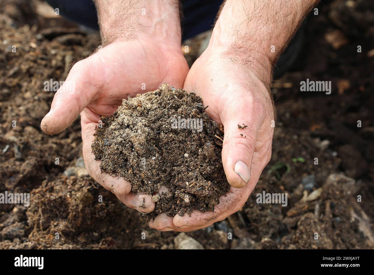 Freshly sifted compost soil to fertilize the garden Stock Photo - Alamy