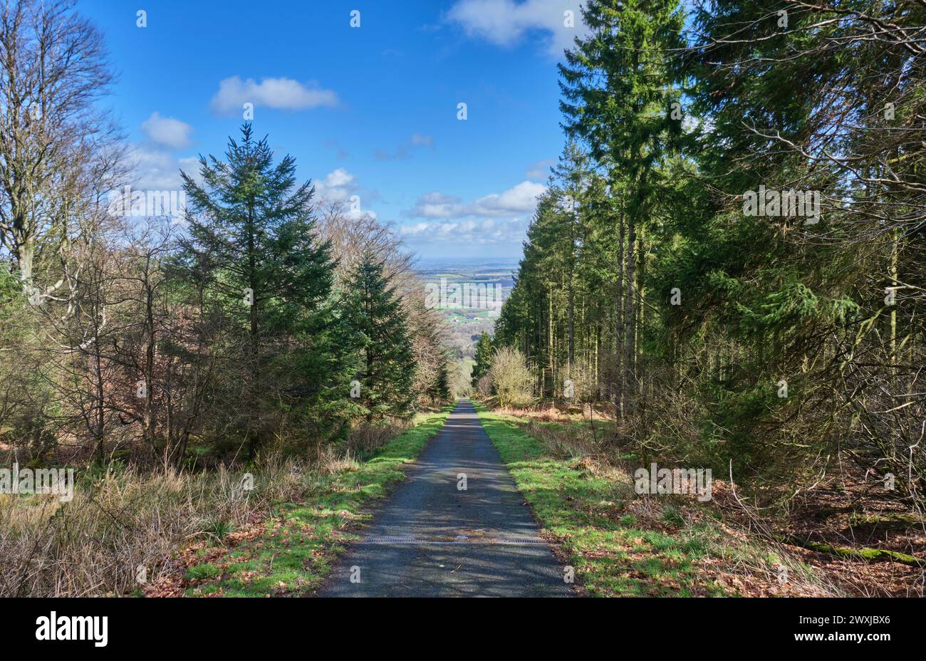 Ditton enclosure hi-res stock photography and images - Alamy