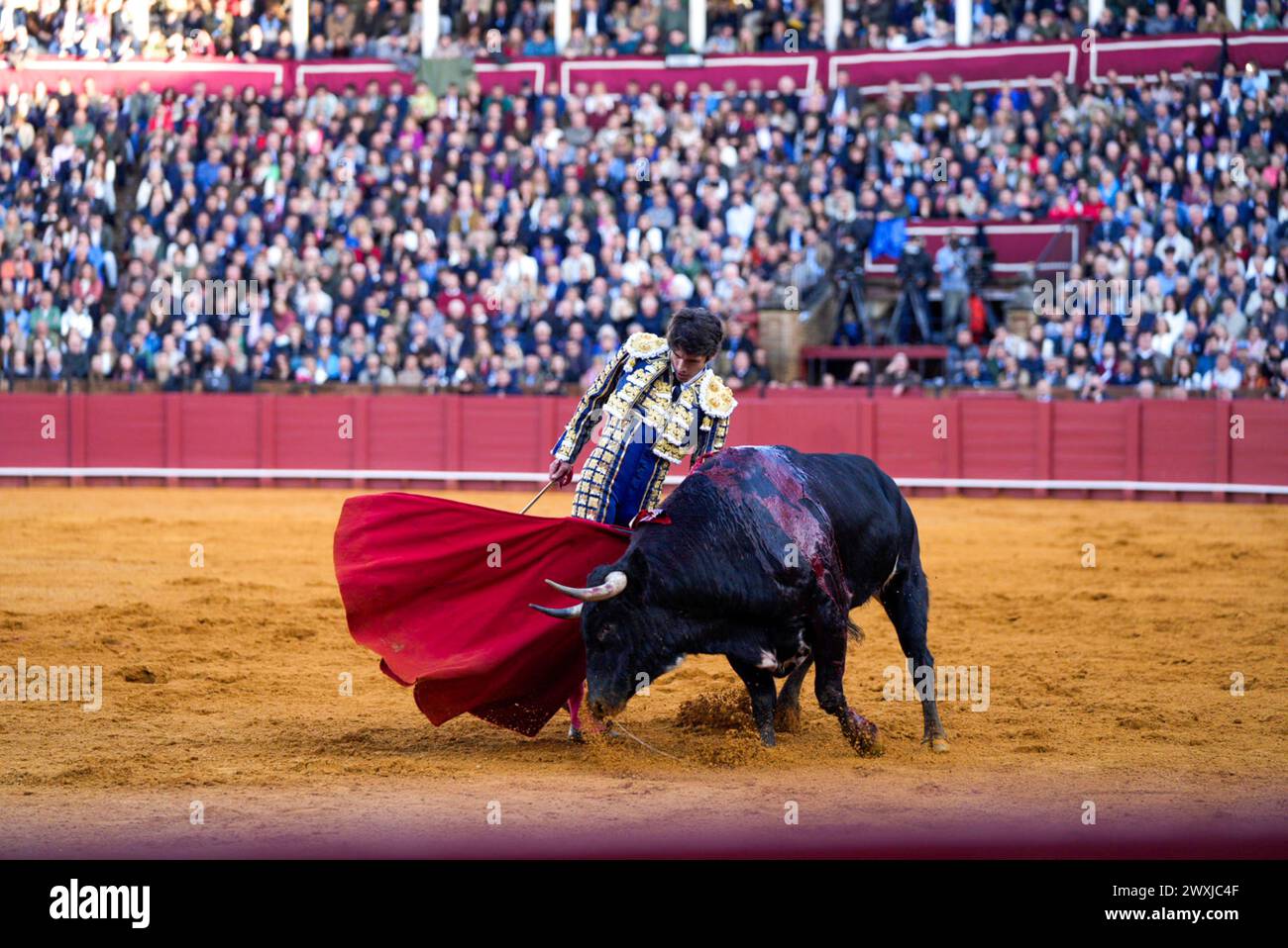 Bullfighter Sebastian Castella during his performance in the first ...