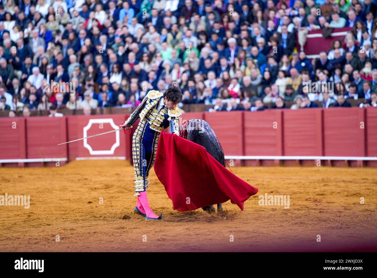 Bullfighter Sebastian Castella during his performance in the first ...