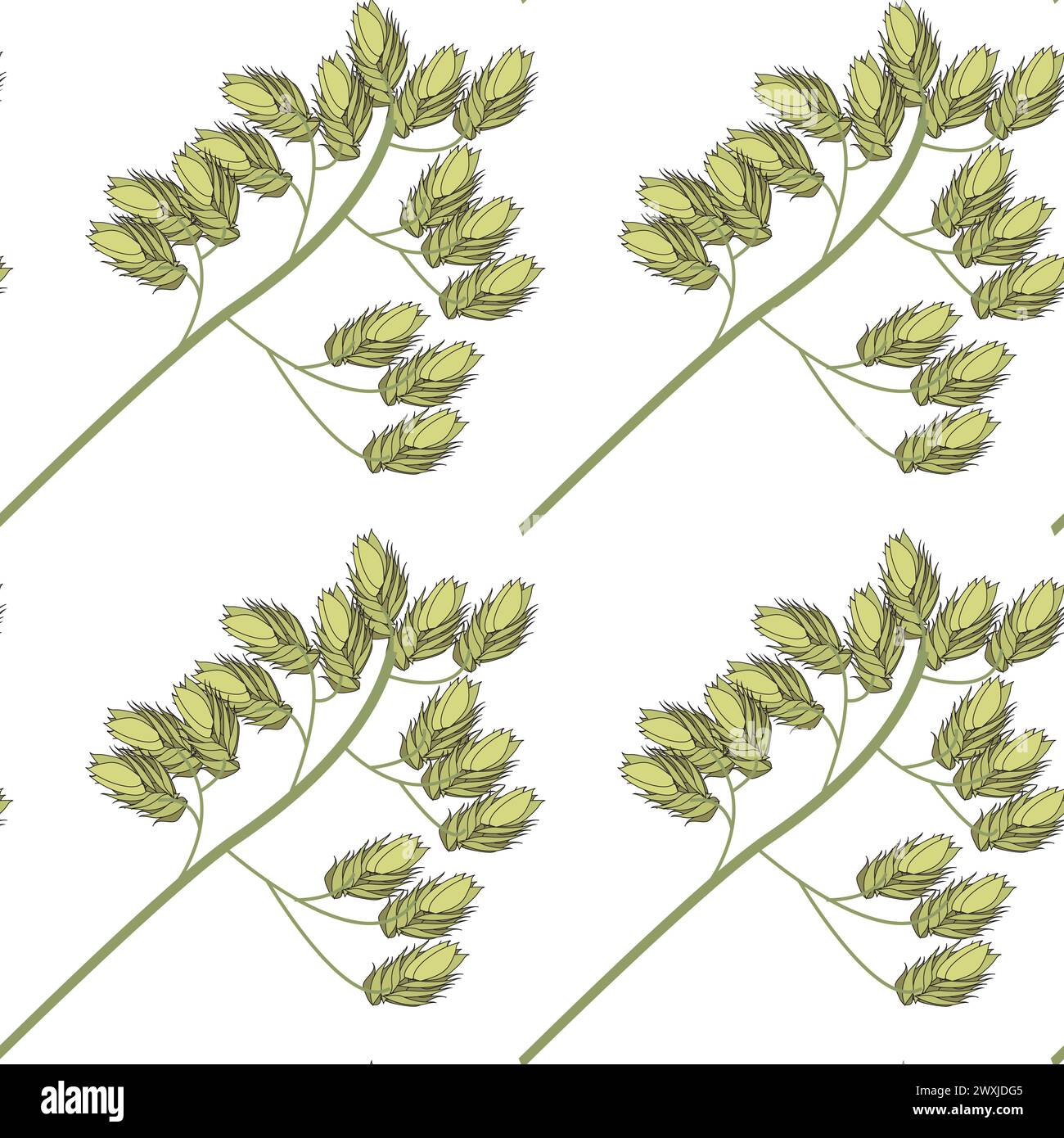 Seamless pattern from the top of wild field grass. Vector illustration ...