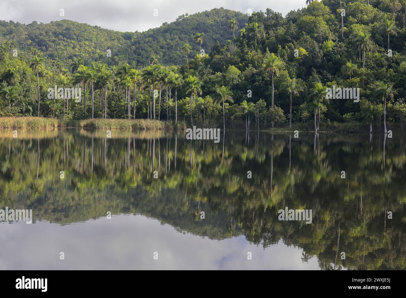 Siera del rosario hi-res stock photography and images - Alamy