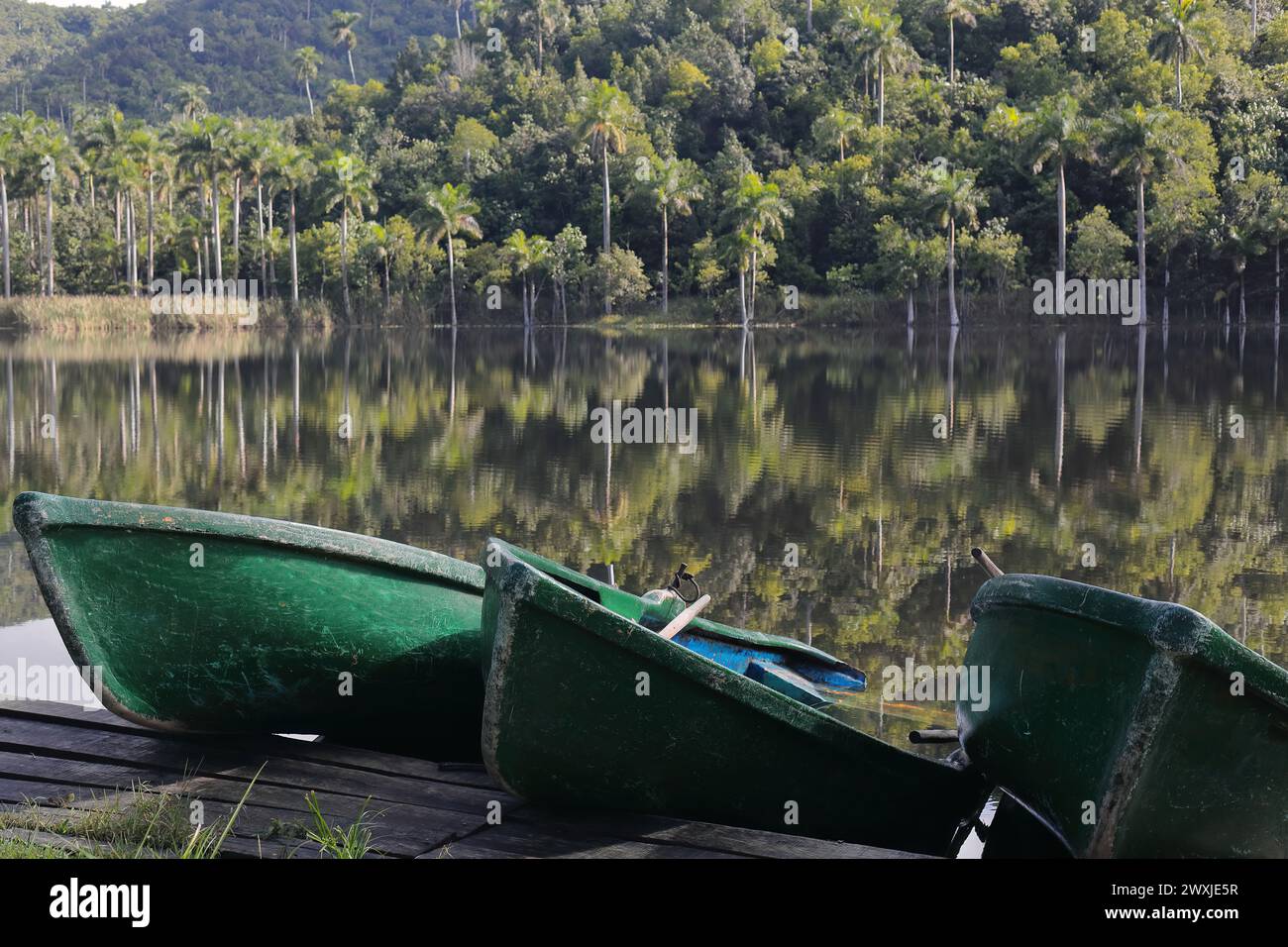 132 Old, green, fiberglass row boats half sunken-half laying on El ...