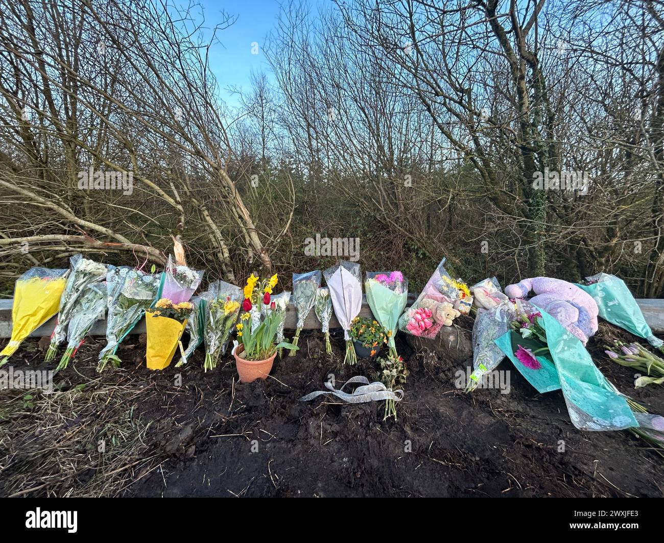 Floral tributes left at the scene on the N17 at Barnacarroll ...