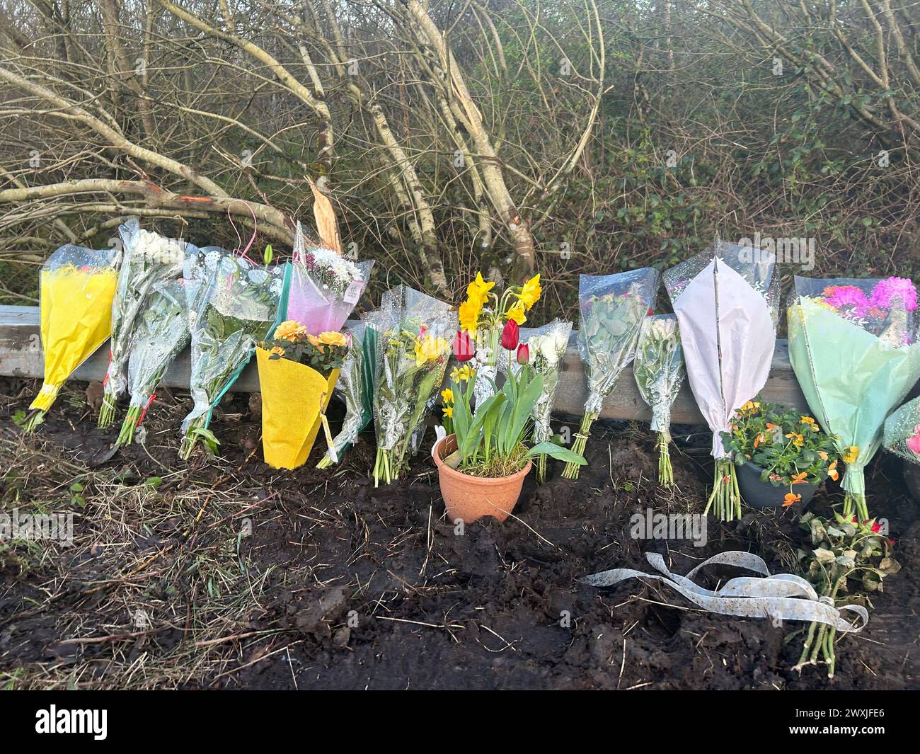 Floral tributes left at the scene on the N17 at Barnacarroll ...