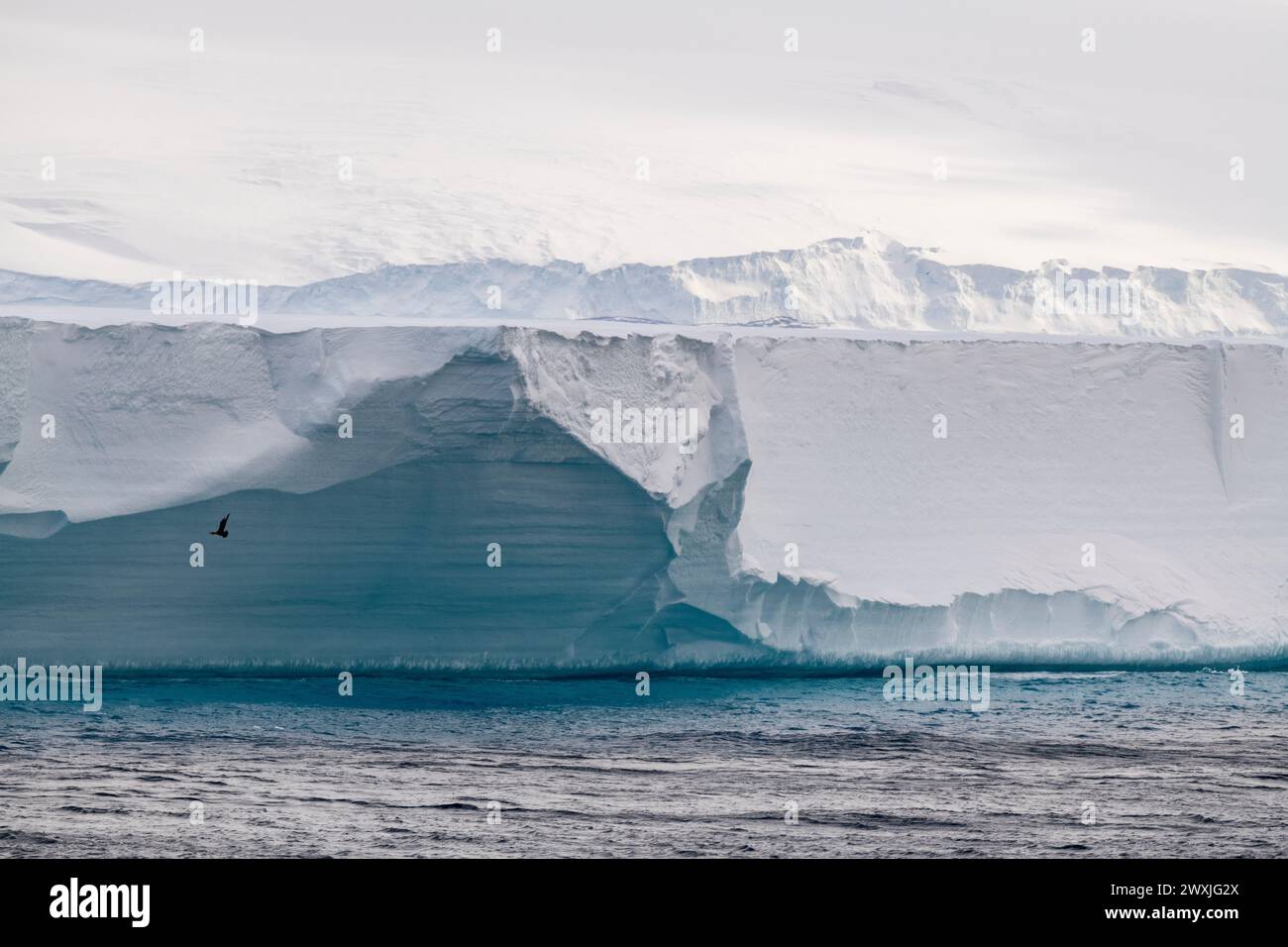 Antarctica, Ross Sea, Ross Ice Shelf Stock Photo - Alamy