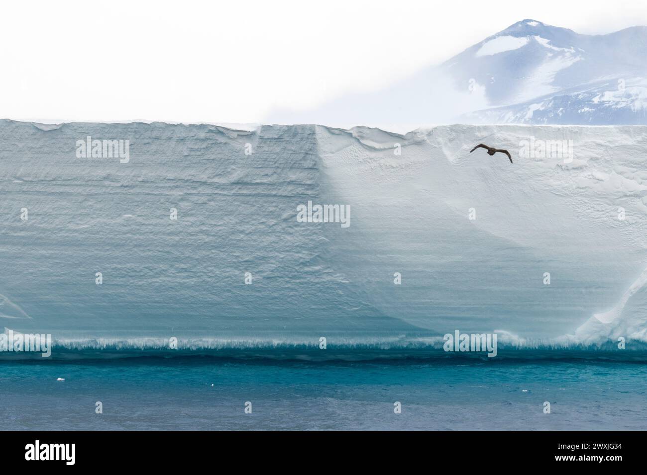 Antarctica, Ross Sea, Ross Ice Shelf Stock Photo - Alamy