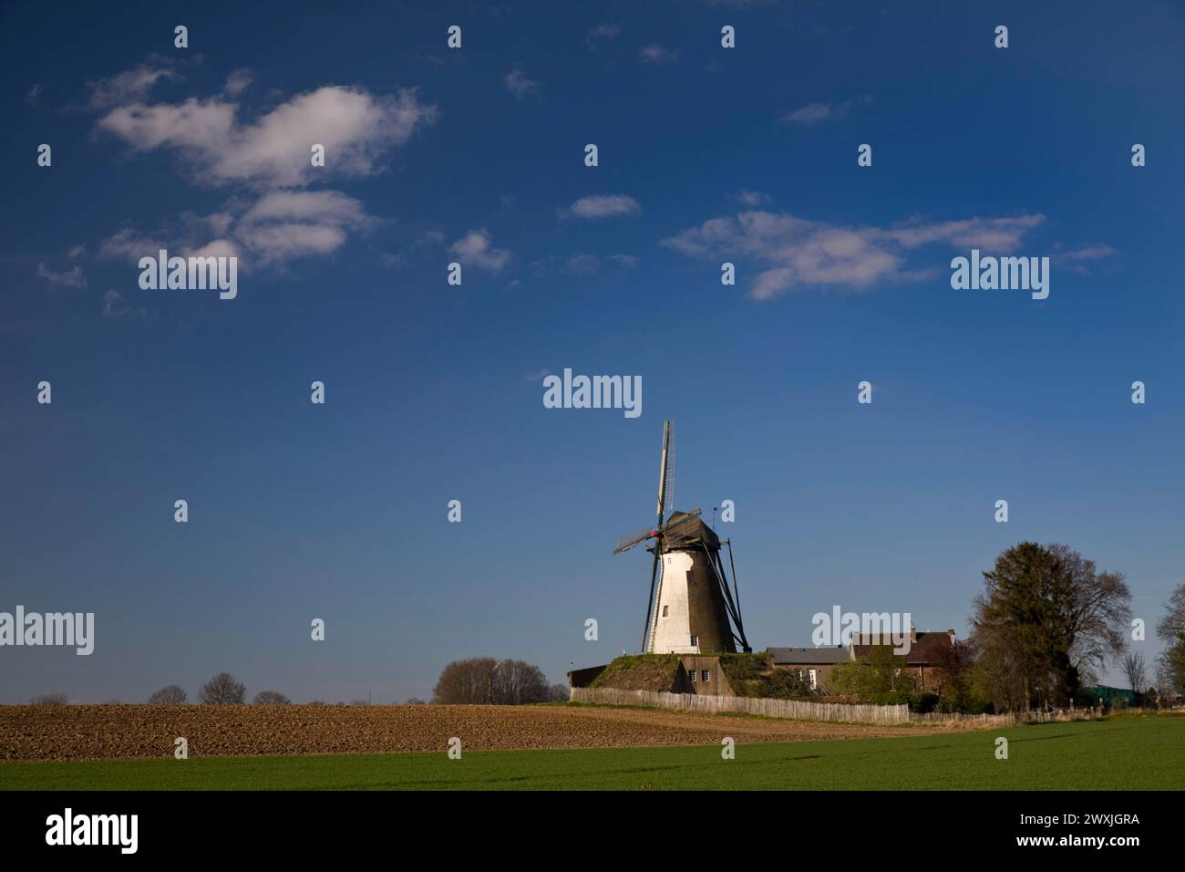 Historic Grottenherten tower windmill, Bedburg, Rhine-Erft district ...