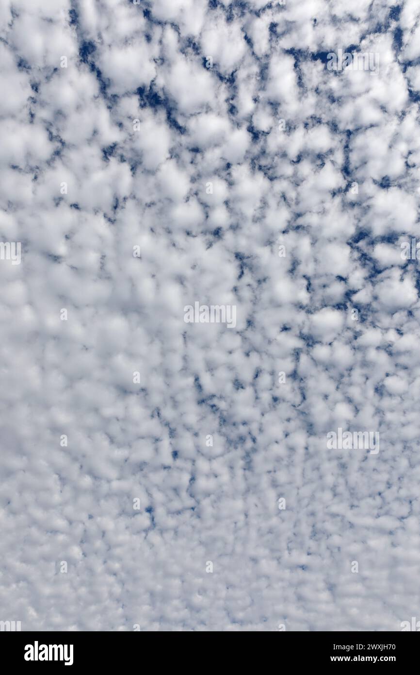 Fluffy white clouds and blue sky. Looking straight up Stock Photo - Alamy