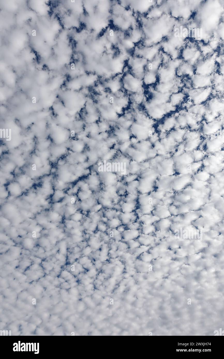 Fluffy white clouds and blue sky. Looking straight up Stock Photo - Alamy