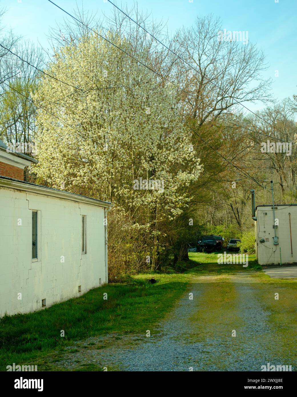 Spring colors in Marion, Virginia Stock Photo - Alamy