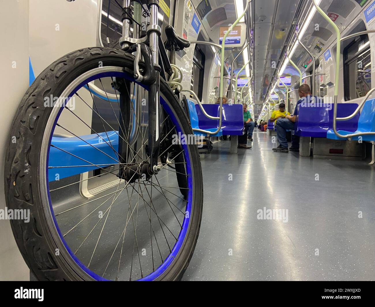Sao Paulo, Sao Paulo, Brasil. 31st Mar, 2024. Sao Paulo (SP), 03/31 ...