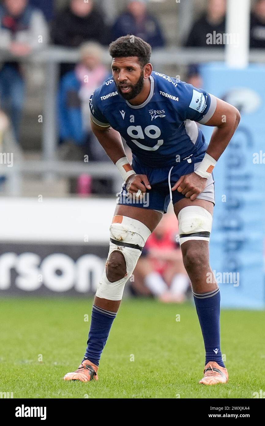 Hyron andrews hi-res stock photography and images - Alamy