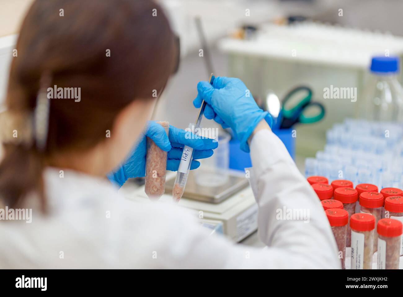 A chemical laboratory employee wearing medical gloves examines samples ...