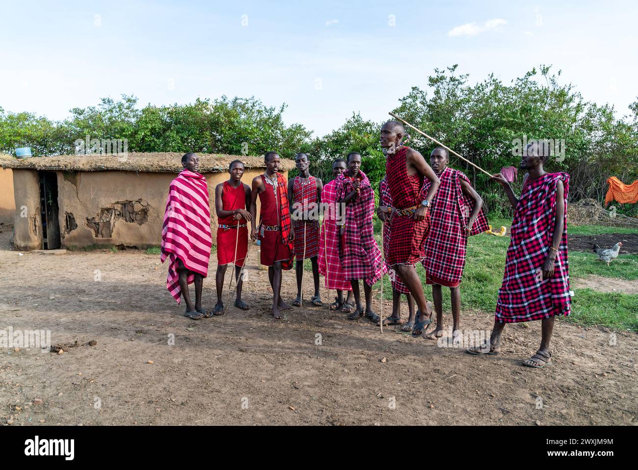 Masai tribe members jumping during ritual celebration in kenya masai ...