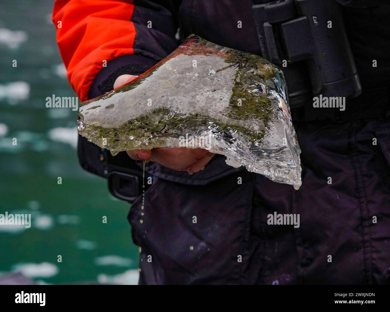 A researcher holds a fragment of ancient glacier ice, connecting with ...