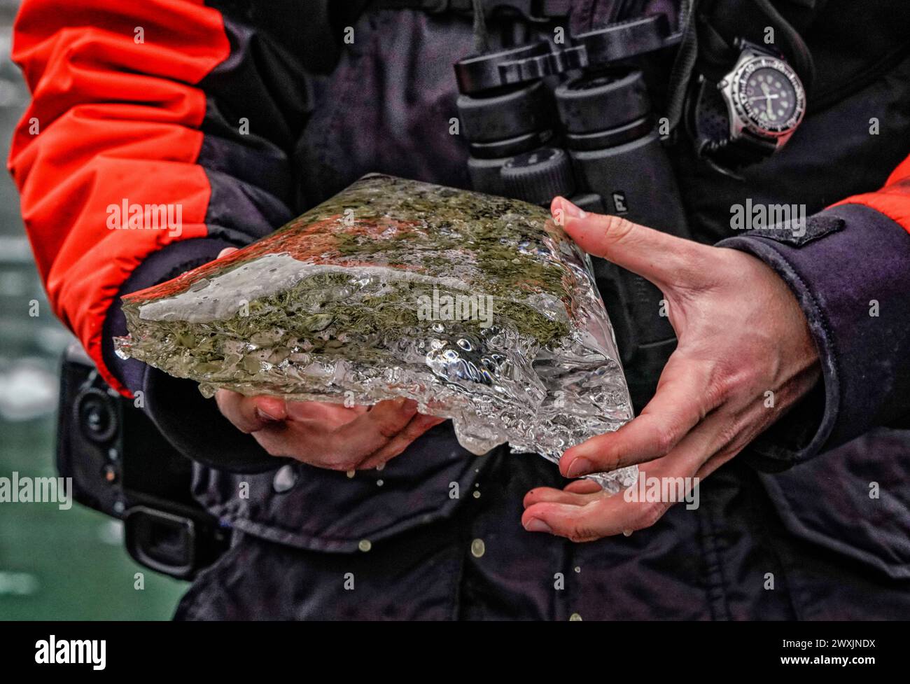 A researcher holds a fragment of ancient glacier ice, connecting with ...
