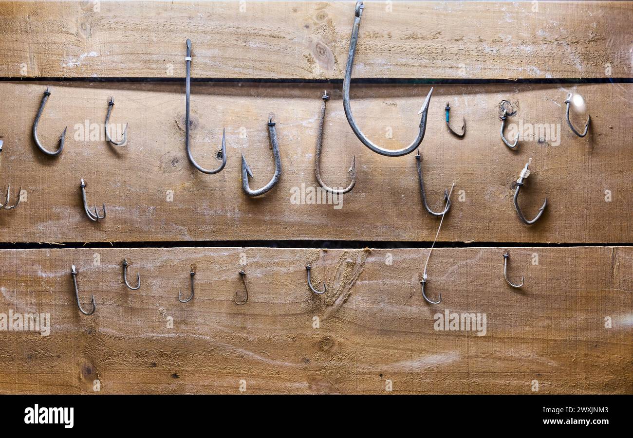 Fishing hooks of different sizes pinned to wood Stock Photo - Alamy