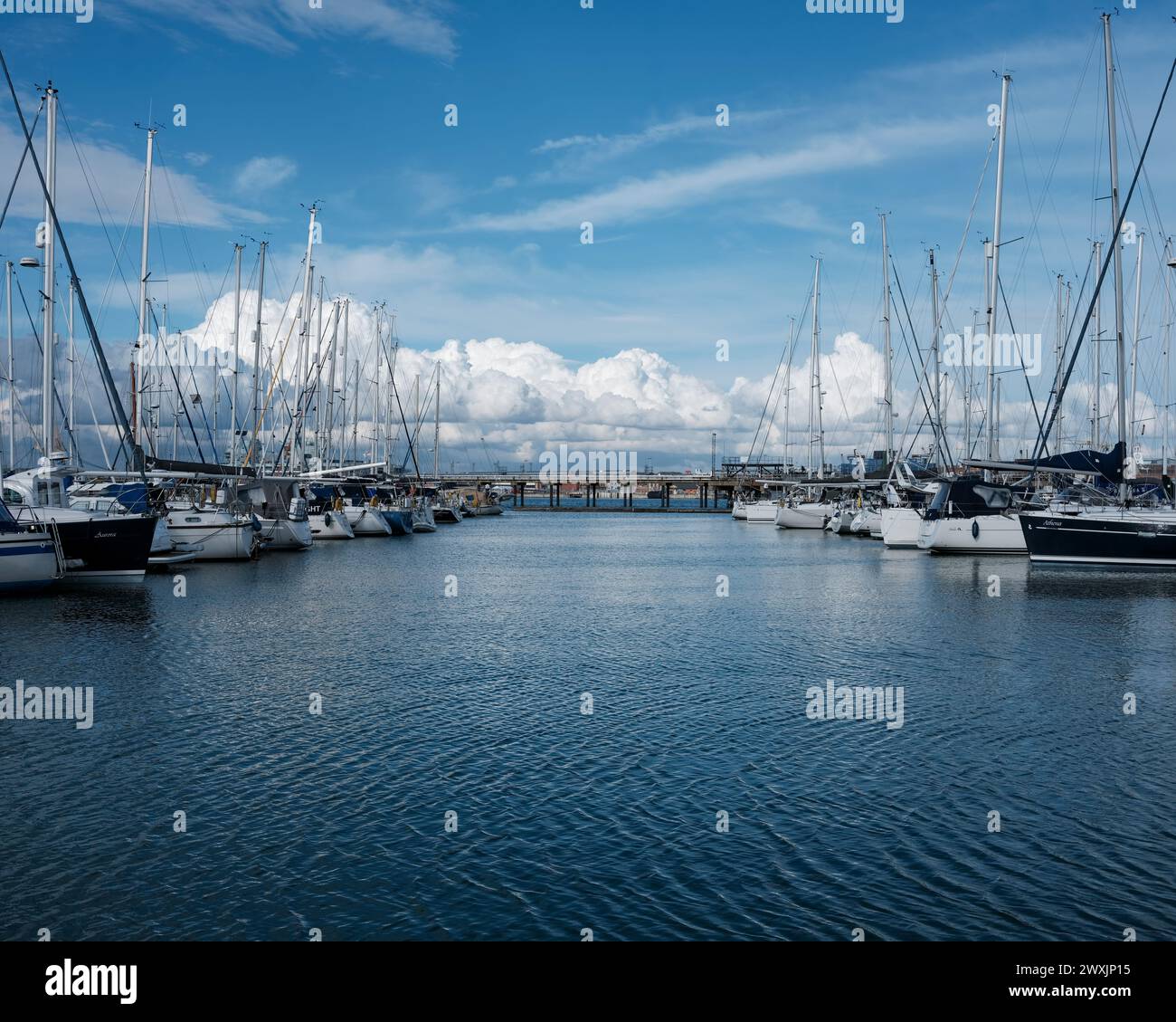 Yachts in a marina in the Solent, UK Stock Photo - Alamy