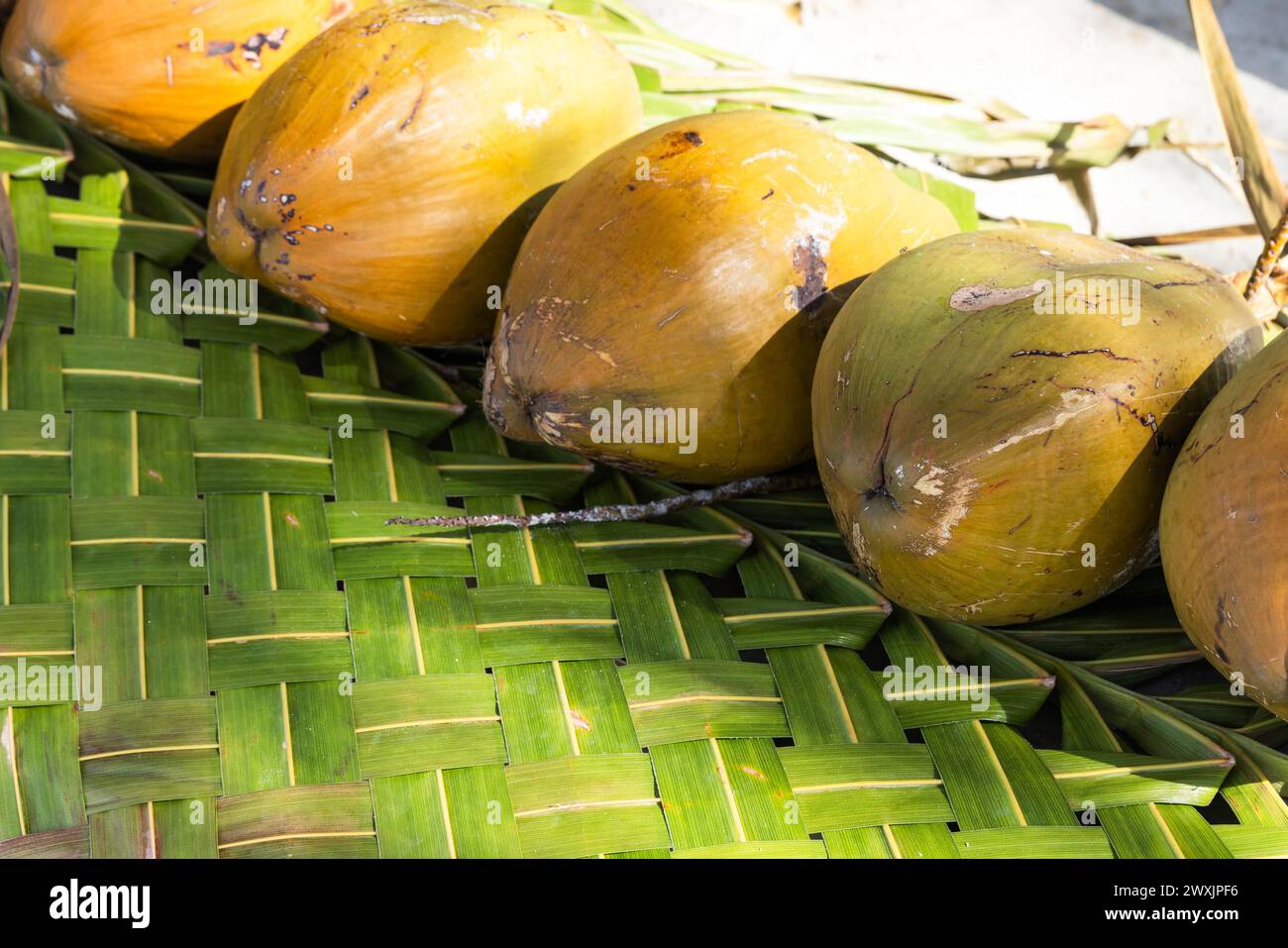 Woven coconut leaf hi-res stock photography and images - Alamy