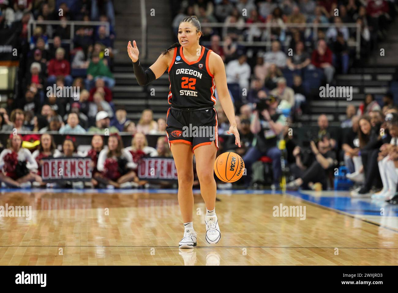 Albany, New York, USA. 31st Mar, 2024. Oregon State guard TALIA VON ...