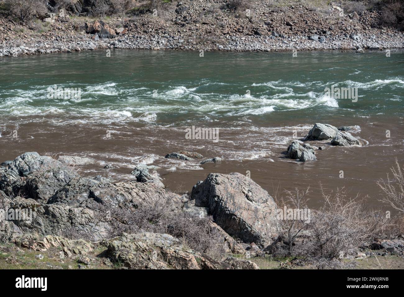 Imnaha River, laden with silt from poor land use, entering Snake River ...