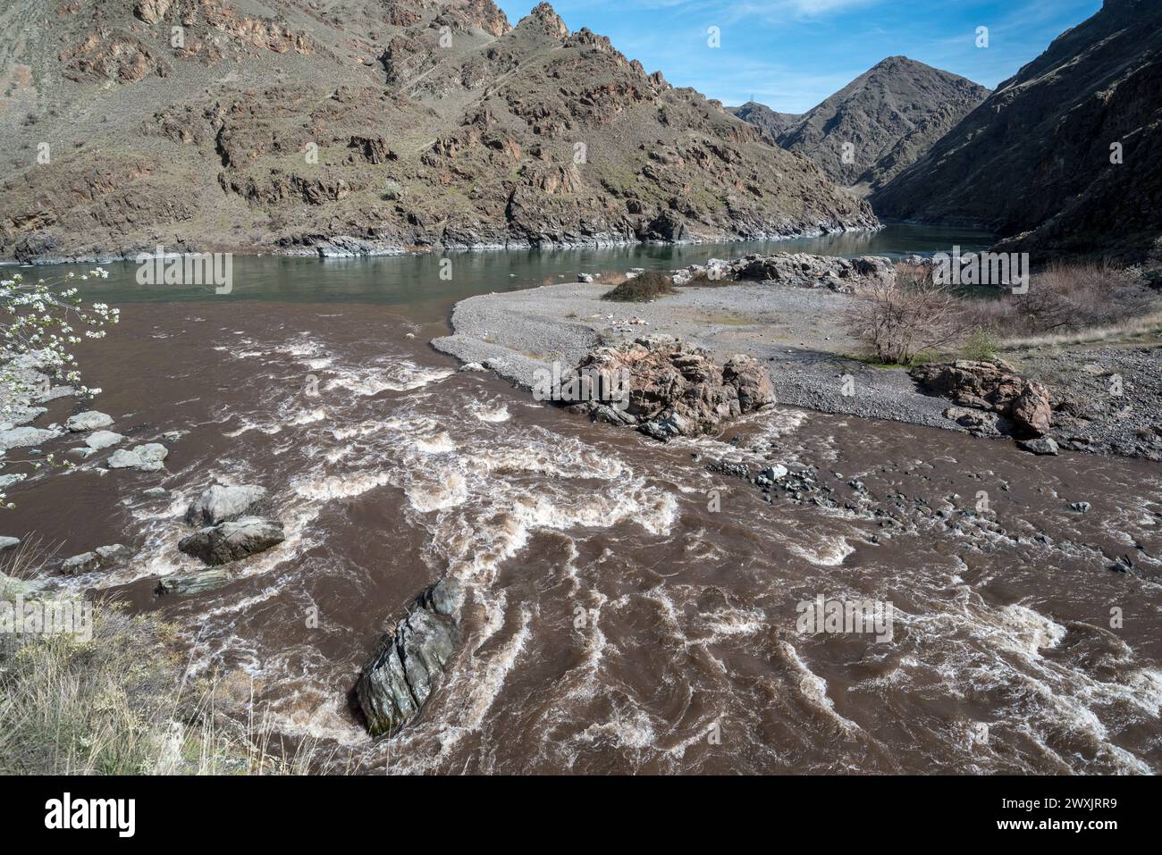Imnaha River, laden with silt from poor land use, entering Snake River ...