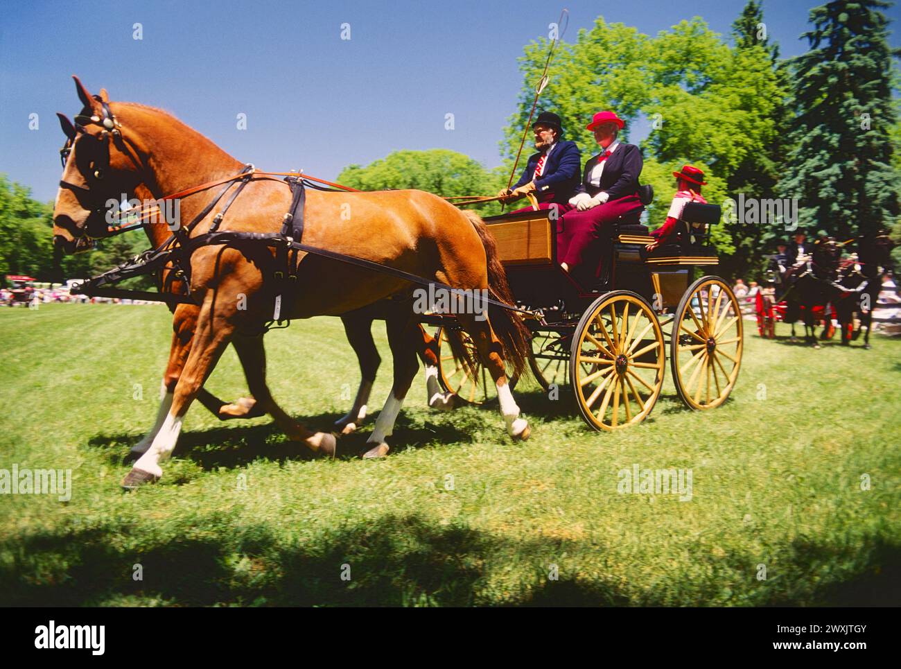 Devon Horse Show & Country Fair; Devon; Pennsylvania; USA. Oldest (1896 ...