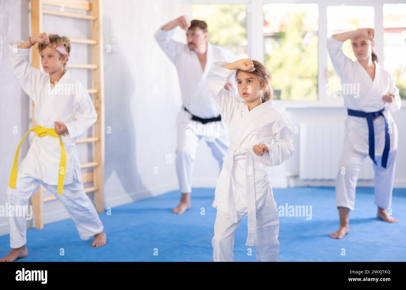 Family with children training karate techniques Stock Photo - Alamy