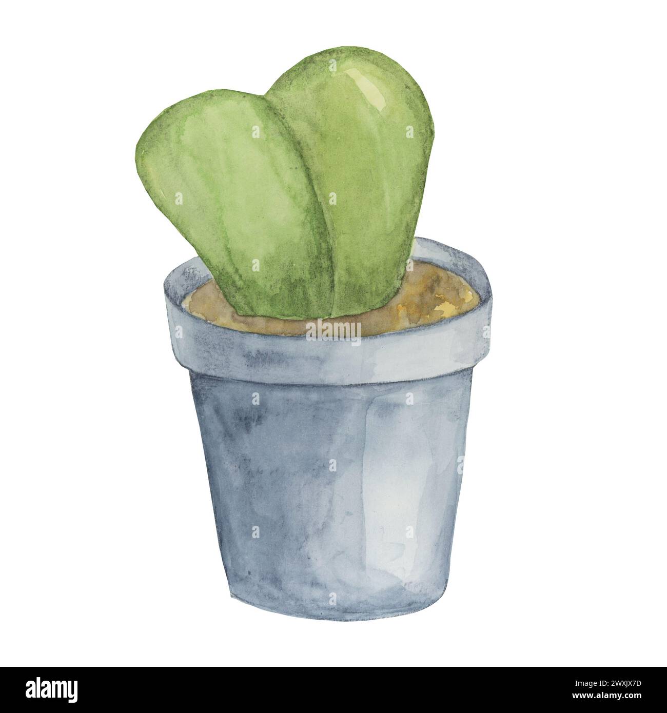 Single green sweetheart hoya in watercolor. Hoya kerrii love plant in a ...