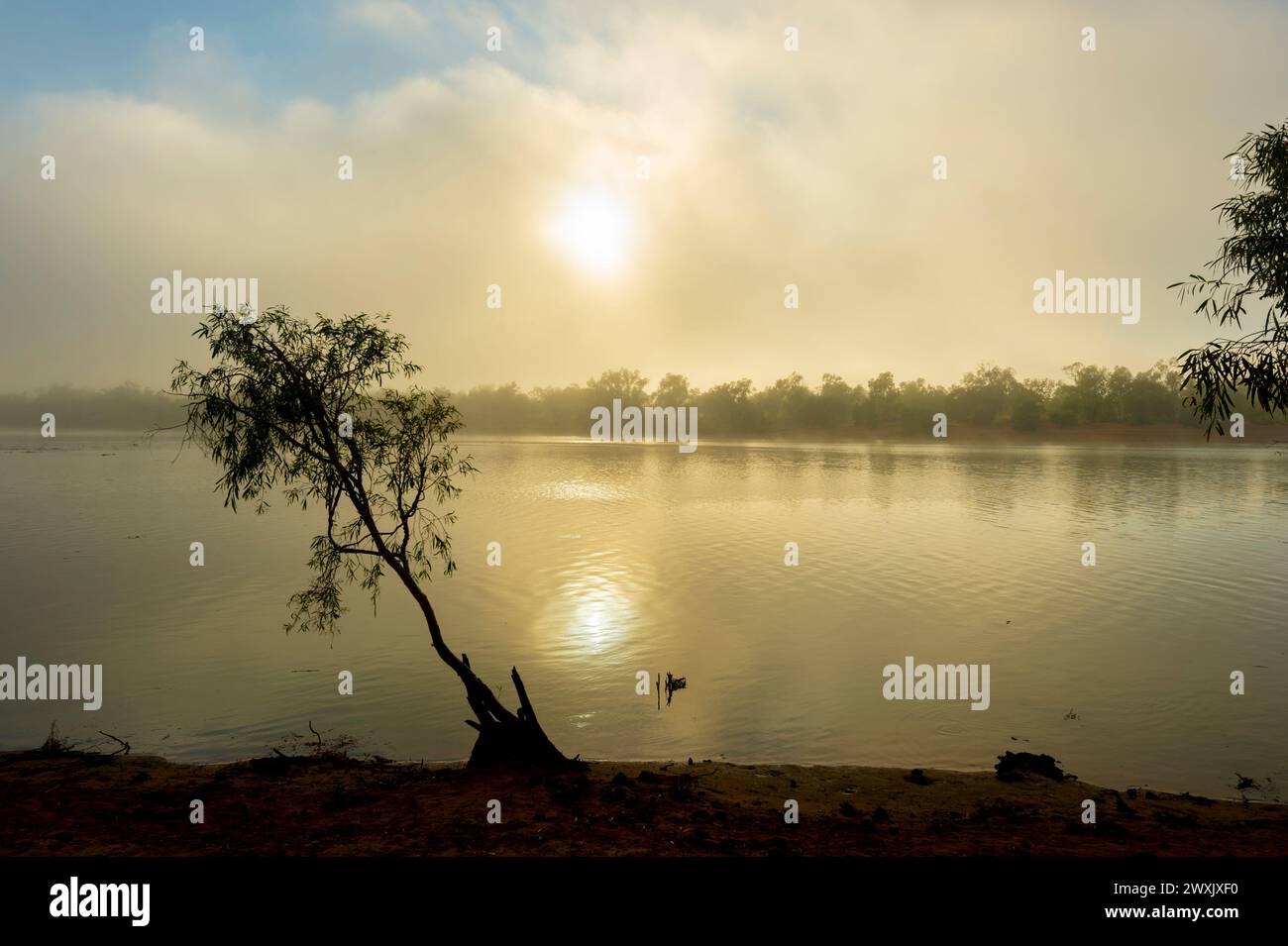 Atmospheric misty sunrise over the Fitzroy River, near Fitzroy Crossing ...