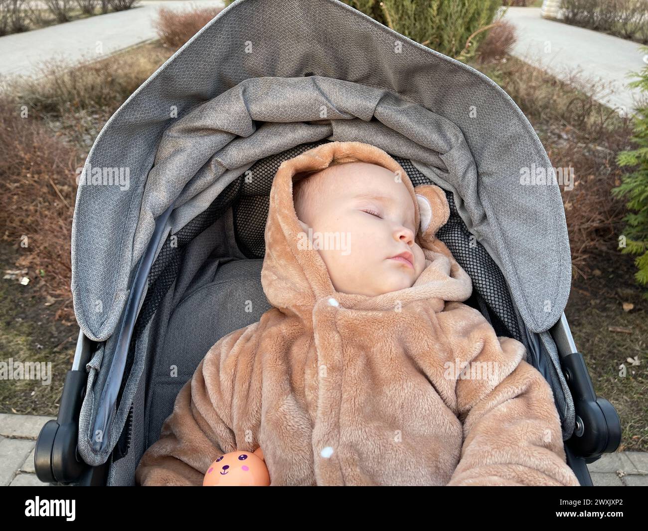 Serene Infant Resting Peacefully in a Cozy Stroller During a Quiet ...
