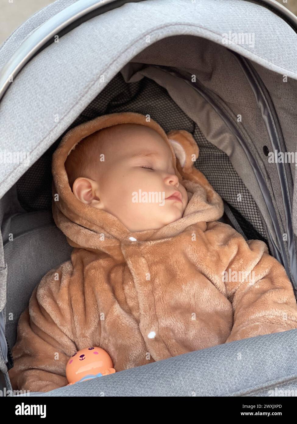 Serene Infant Resting Peacefully in a Cozy Stroller During a Quiet ...