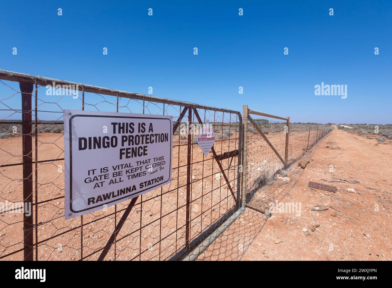 Dingo proof fence at Rawlinna Station, Australia’s largest operating sheep station, Nullarbor ...