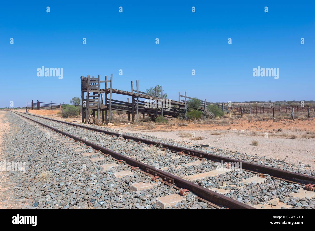 Old cattle or sheep loading ramp at Rawlinna railway station, a tiny ...