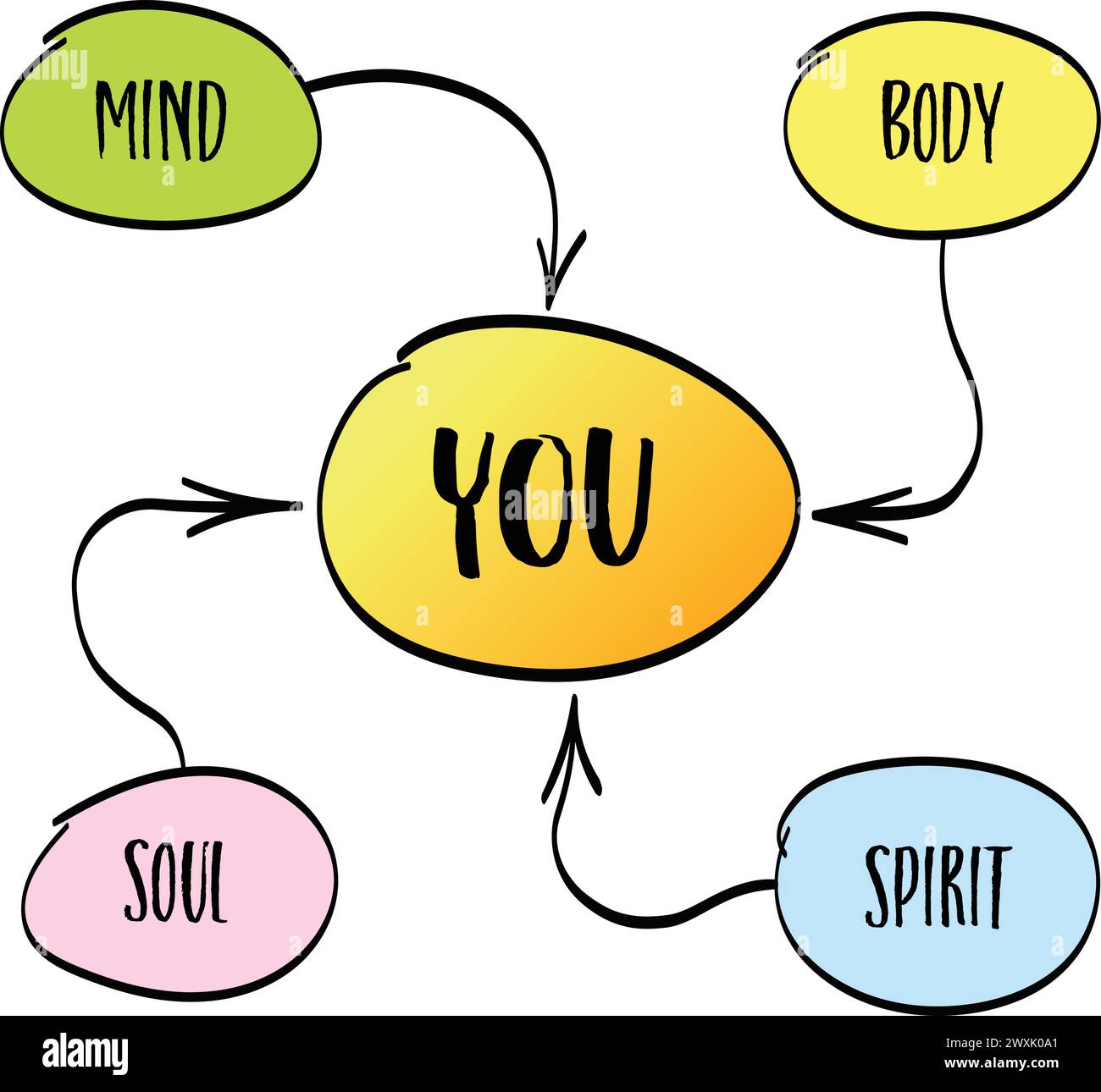 Body map vector hi-res stock photography and images - Alamy