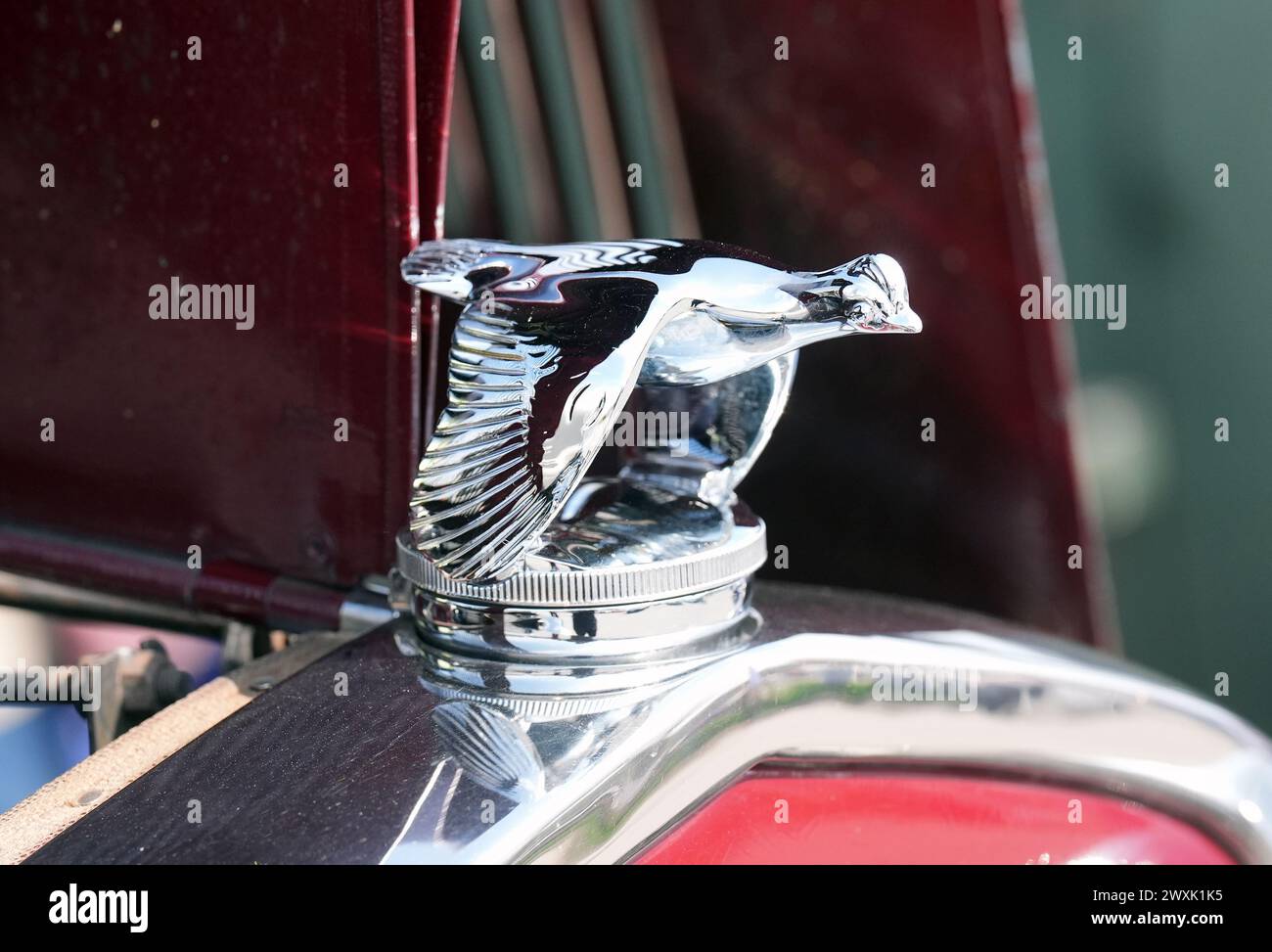 United States. 31st Mar, 2024. A hood ornament on a 1931 Ford Model A ...