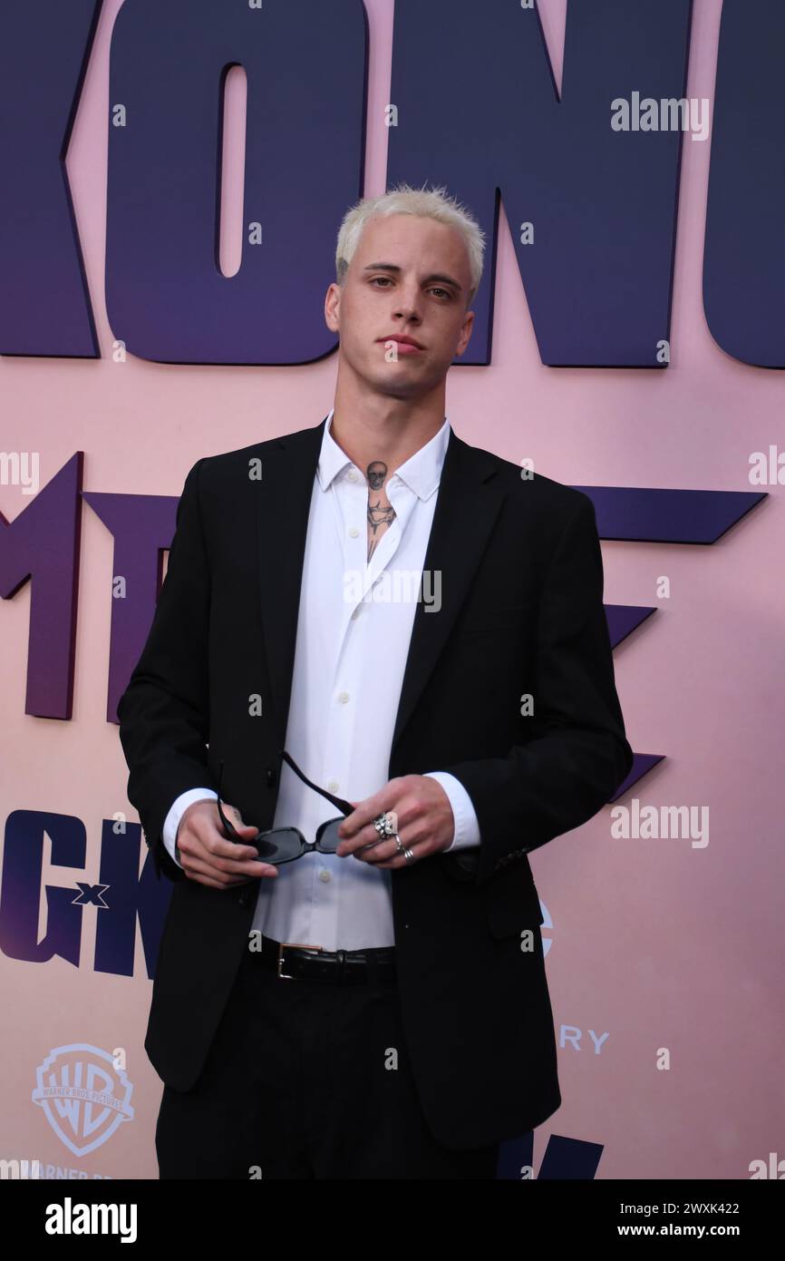 Hollywood, California, USA 25th March 2024 Ryan Butler attends Warner ...