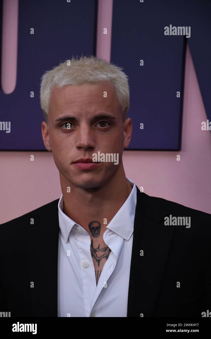 Hollywood, California, USA 25th March 2024 Ryan Butler attends Warner ...